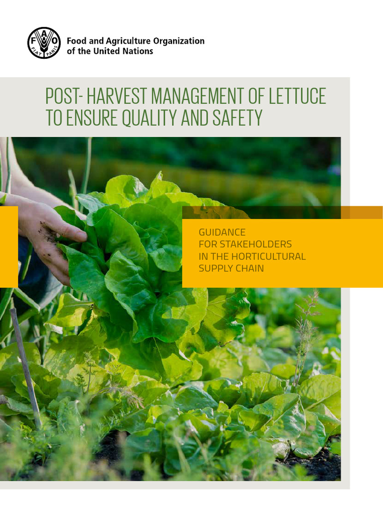 CB0585EN | PDF | Lettuce | Vegetables