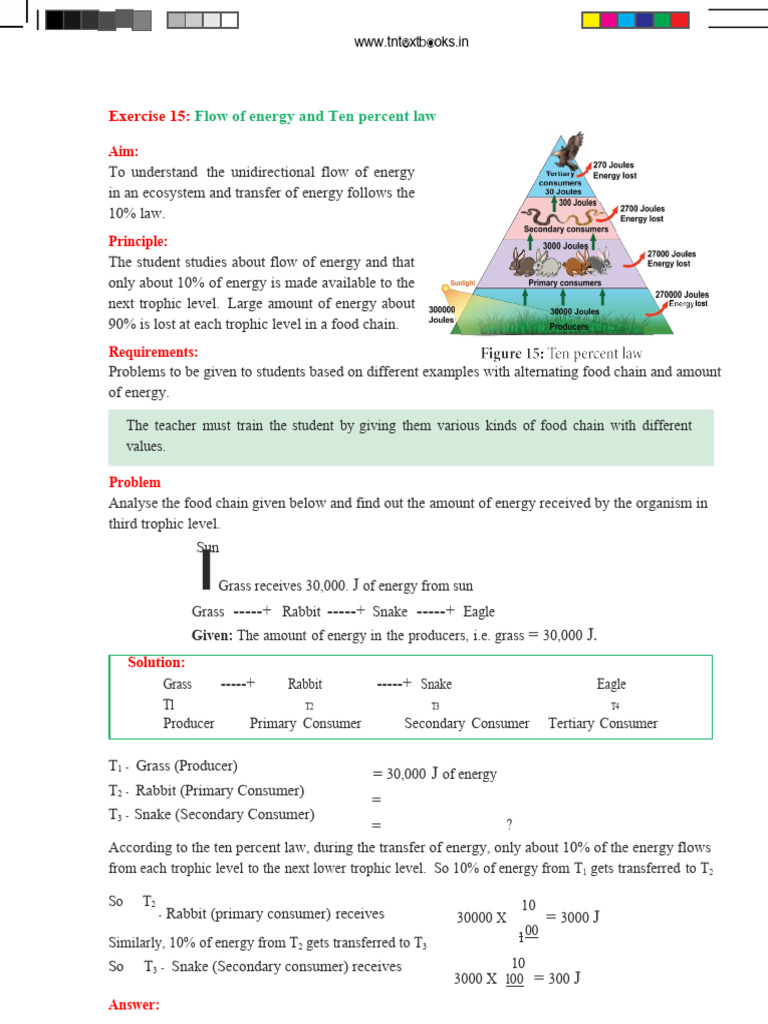 Exercise 15:: Flow of Energy and Ten Percent Law | PDF | Systems Theory ...