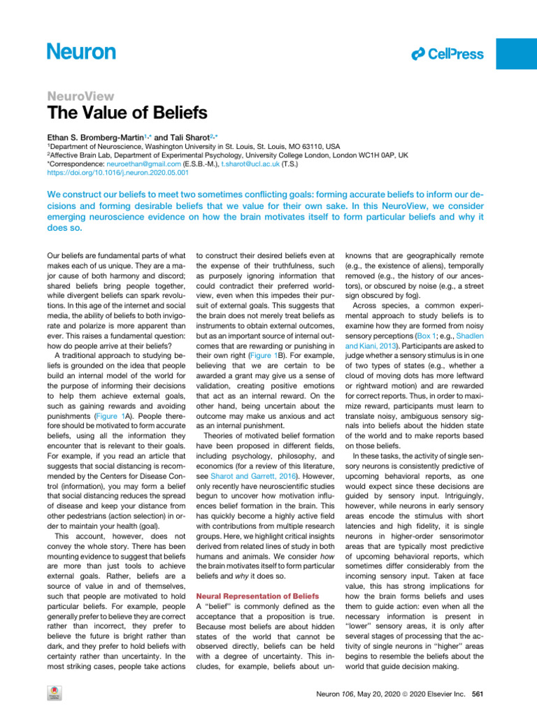 The Value of Beliefs | PDF | Perception | Reward System