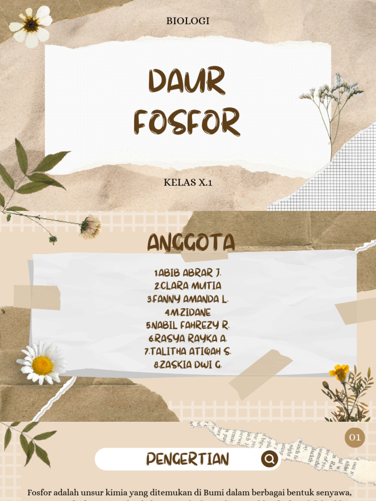 Fosfor | PDF