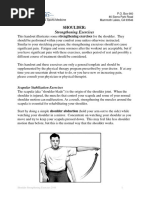 Scapular Stabilisation: Y-W-T Exercises | PDF