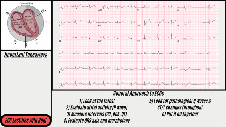 Day 36 Worksheet | PDF