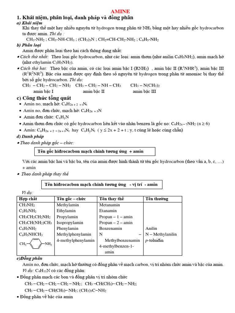 Amine (Bản Tiếng Việt) | PDF