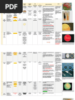 Dermatophyte Identification Chart | PDF | Fungus | Mycology