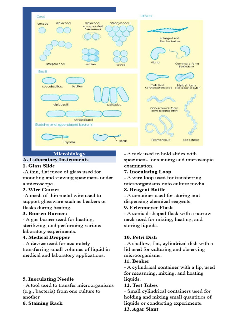 Microbiology LAB 1 Laboratory Instruments | PDF | Laboratories ...