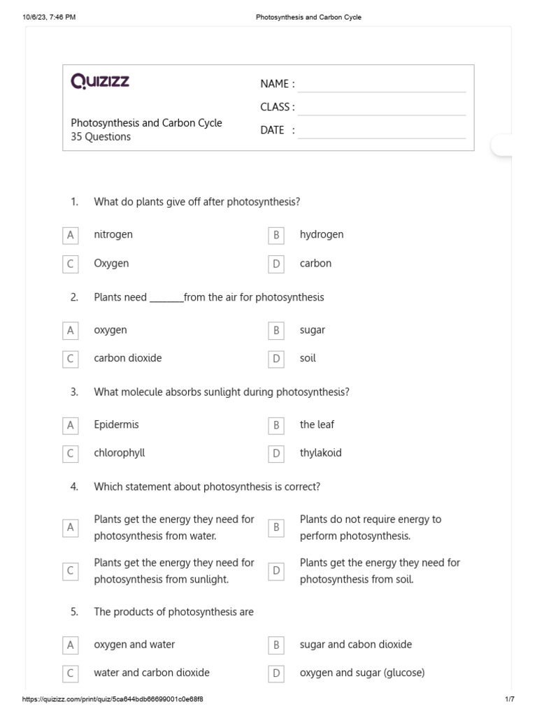 Photosynthesis and Carbon Cycle | PDF | Photosynthesis | Cellular ...