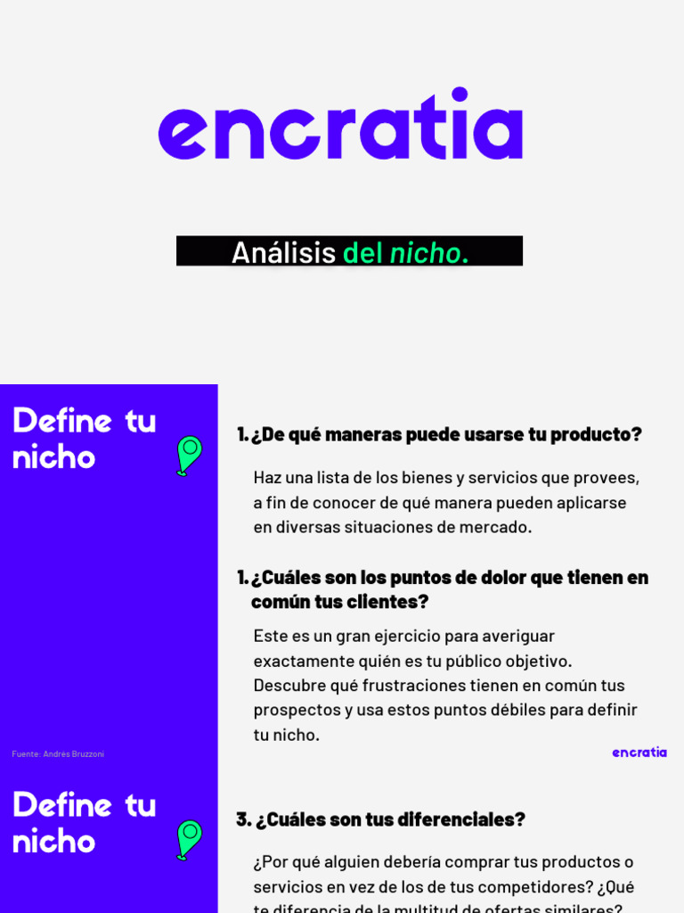 Plantilla Nicho | PDF | Business | Economias