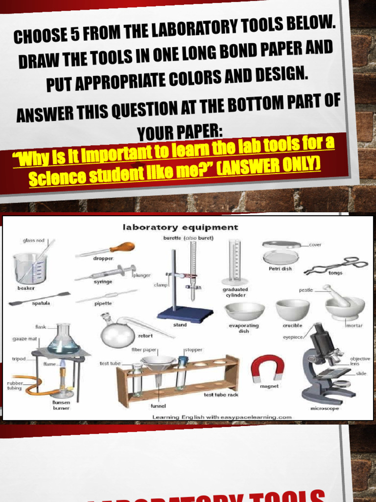 Laboratory Tools | PDF | Liquids | Heat