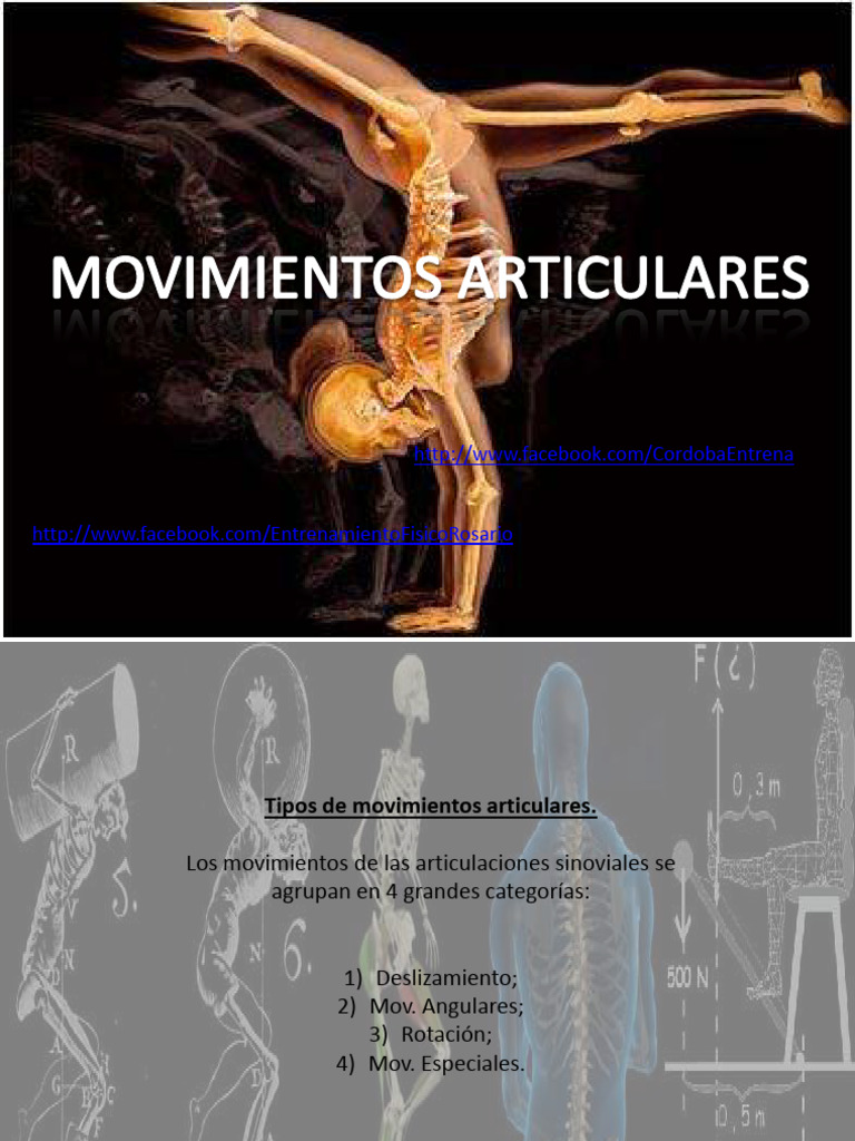 Moviminetos Articulares | PDF | Articulación | Hombro