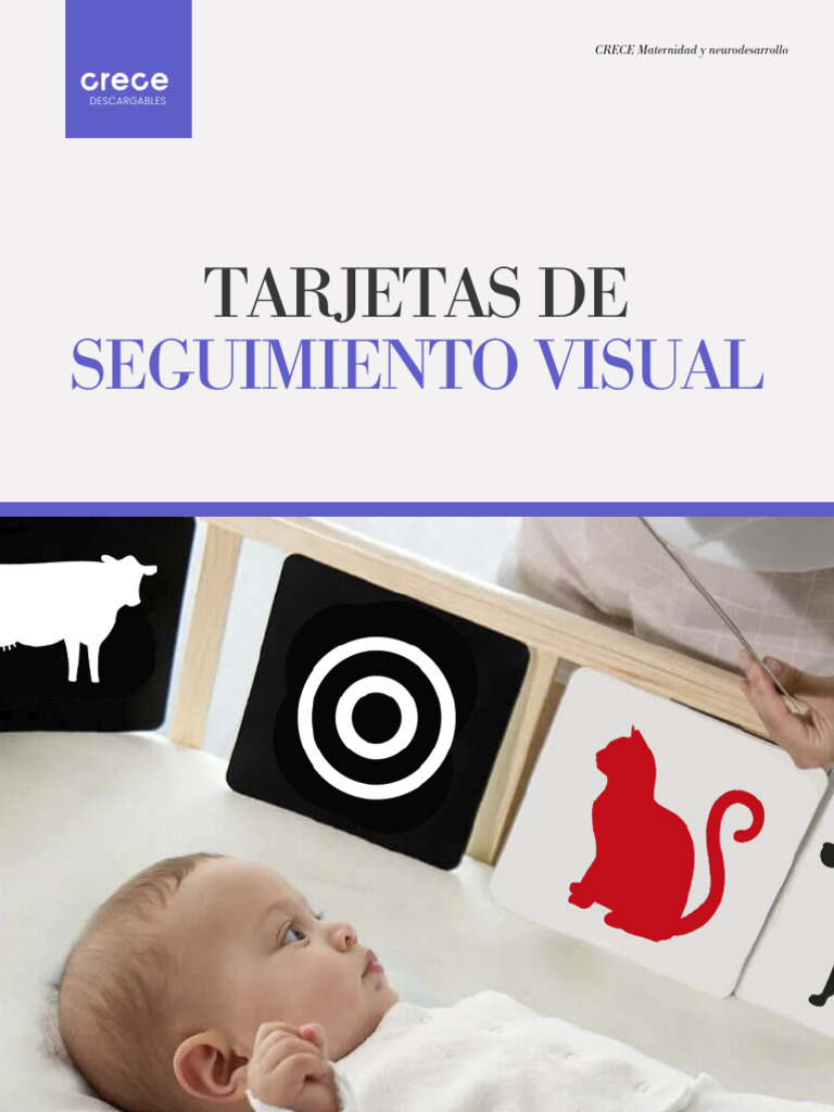 6e38da1-Be32-E31e-A48e-Af766144802b Tarjeta de Seguimiento Visual | PDF ...