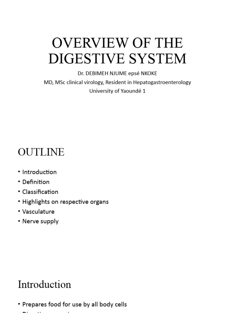 Overview of The Digestive System | PDF | Stomach | Digestion