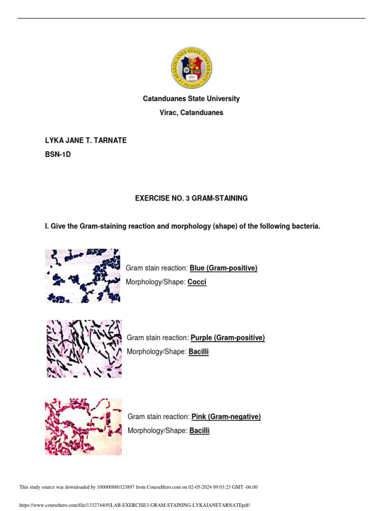 Lab Exercise3 Gram Staining Lykajanetarnate PDF | PDF | Gram Positive Bacteria | Staining