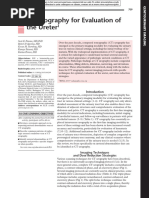 CT Urography: Techniques & Protocols | PDF | Ct Scan | Kidney