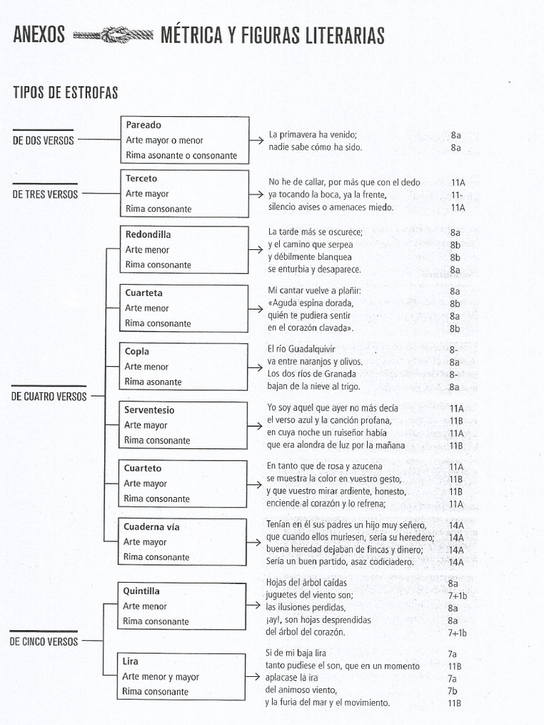 Tipos de Estrofa | PDF