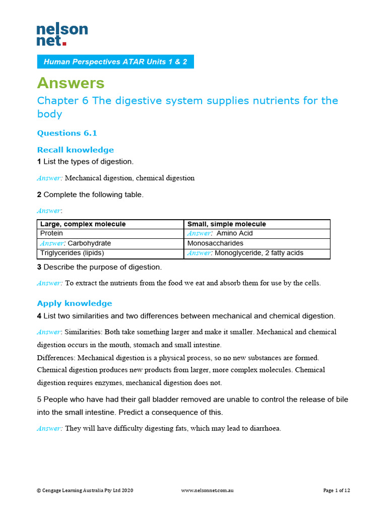 Chapter 6 Answers | PDF | Digestion | Human Digestive System