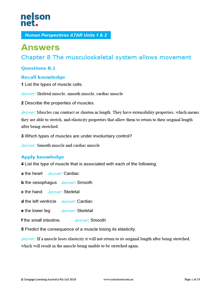 Chapter 8 Answers | PDF | Bone | Muscle Contraction