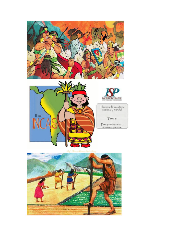 INCAS | PDF