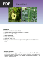 Beetroot Production Guidelines | PDF | Beetroot | Sowing