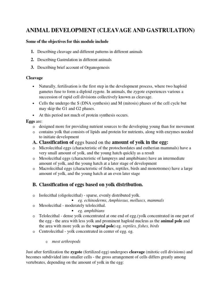 Cleavage Partitions The Zygote Into Many Smaller Cells | Download Free ... Cleavage Partitions The Zygote Into Many Smaller Cells | Download Free ...