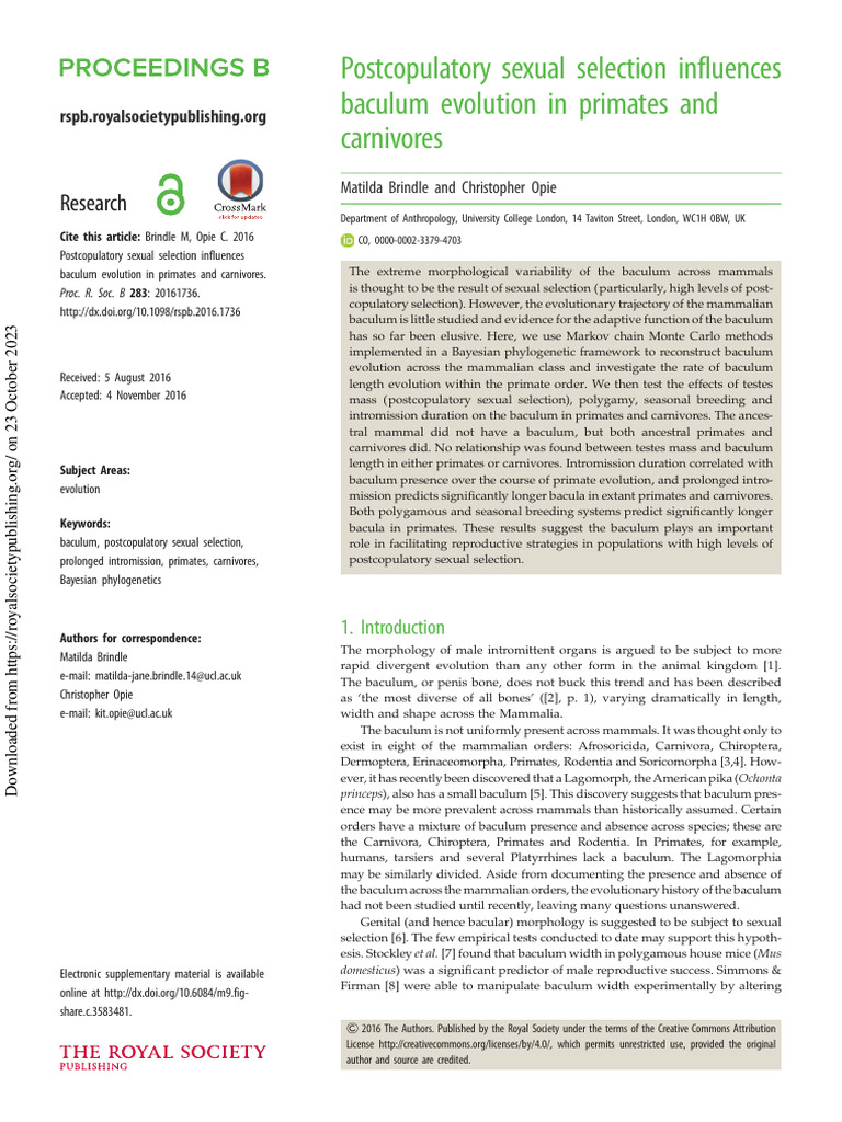 Brindle Opie 2016 Postcopulatory Sexual Selection Influences Baculum ...