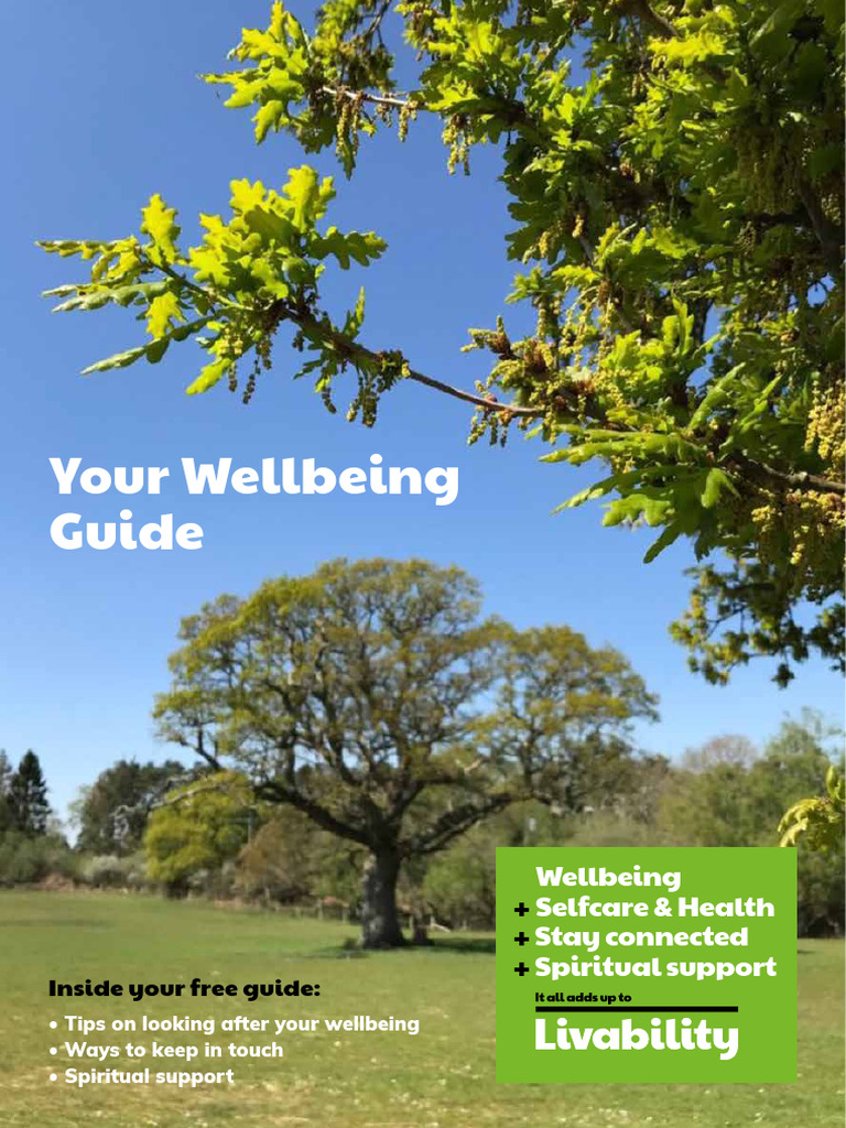 Livability Wellbeing Guide | PDF | Quality Of Life | Well Being