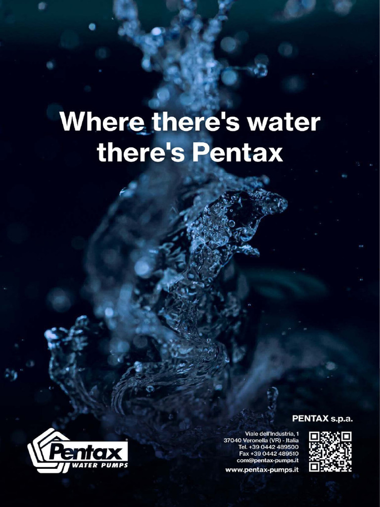 Ficha Tecnica de Motores Sumergibles Tipo Lapicero de 6-8-10 Pulgadas Marca Pentax - 2023 | PDF