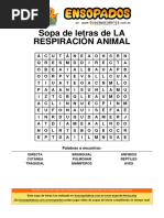 Sopa de Letras de La Fotosíntesis - 76 | PDF