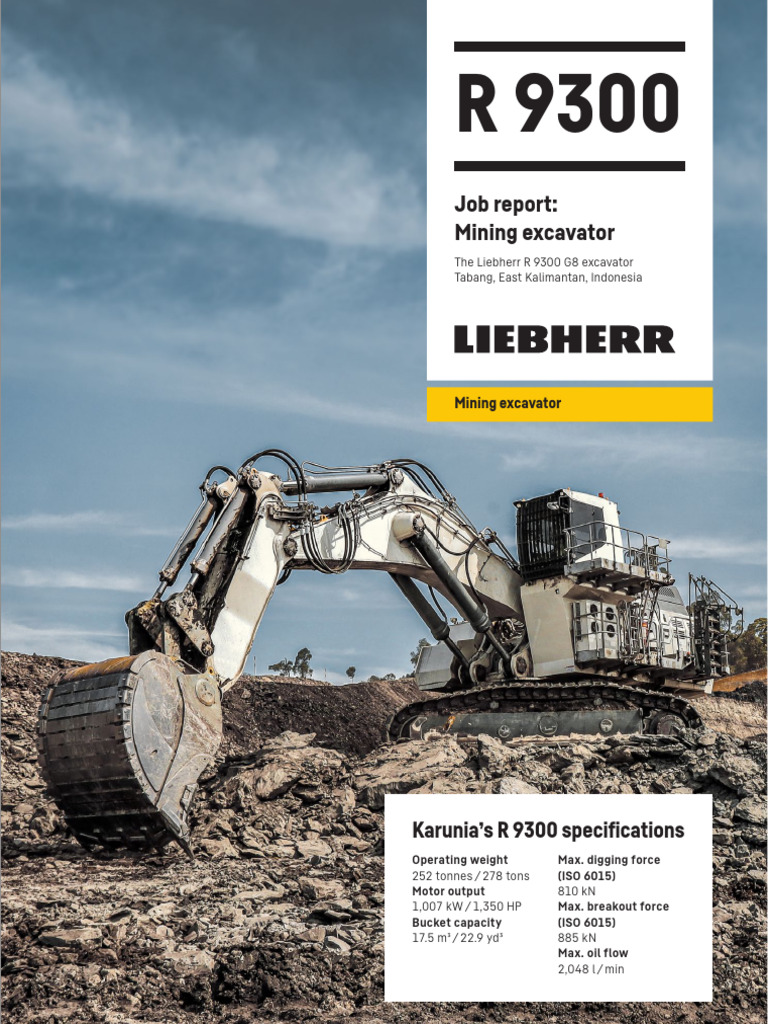 JobReport-R9300 07.23 enUS | PDF | Mining | Coal