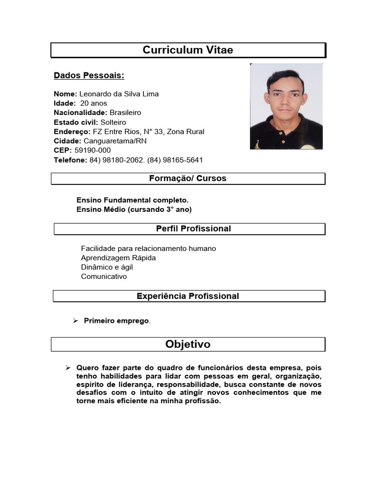 Curriculo Leo. 2 | PDF | Carreira e Crescimento
