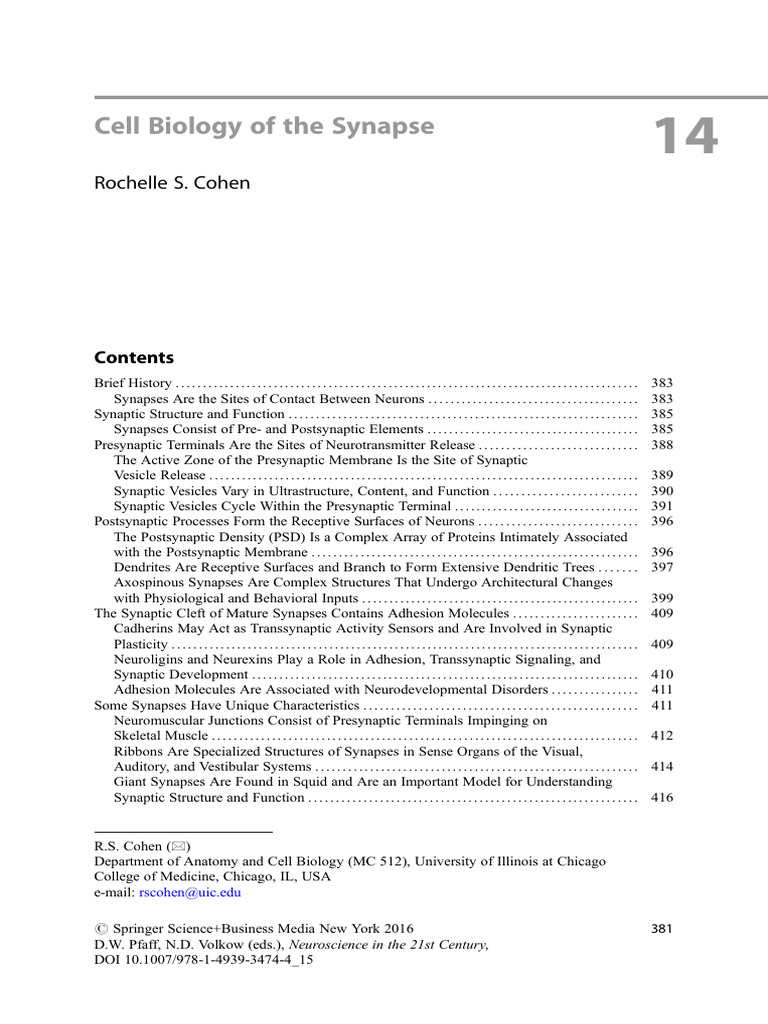 Cohen2016 ReferenceWorkEntry CellBiologyOfTheSynapse | PDF | Chemical Synapse | Synapse