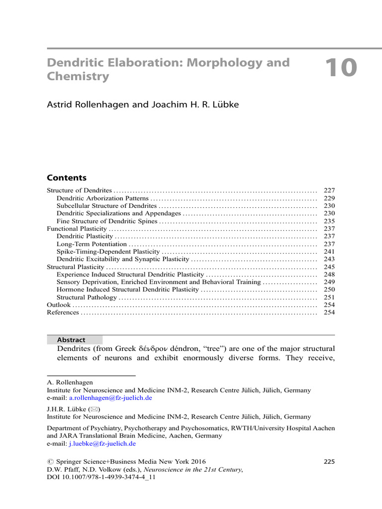Rollenhagen-Lübke2016 ReferenceWorkEntry DendriticElaborationMorphology ...