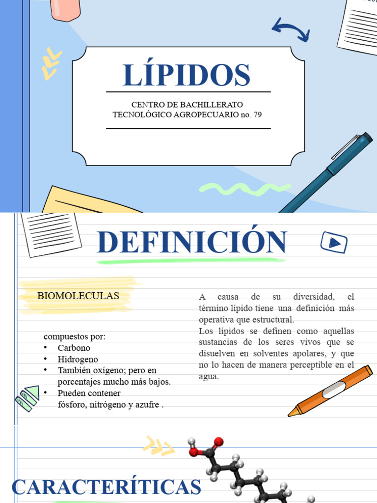 Características y Tipos de Lípidos | PDF | Lípido | Triglicéridos