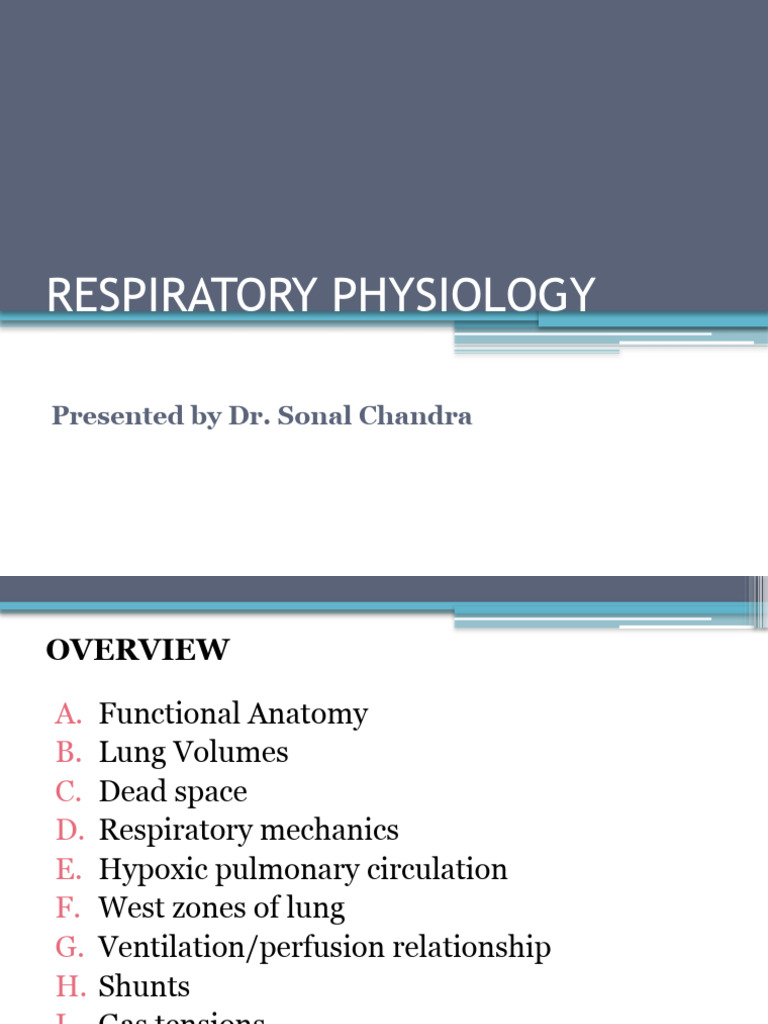 Respiratory Physiology | PDF | Lung | Exhalation