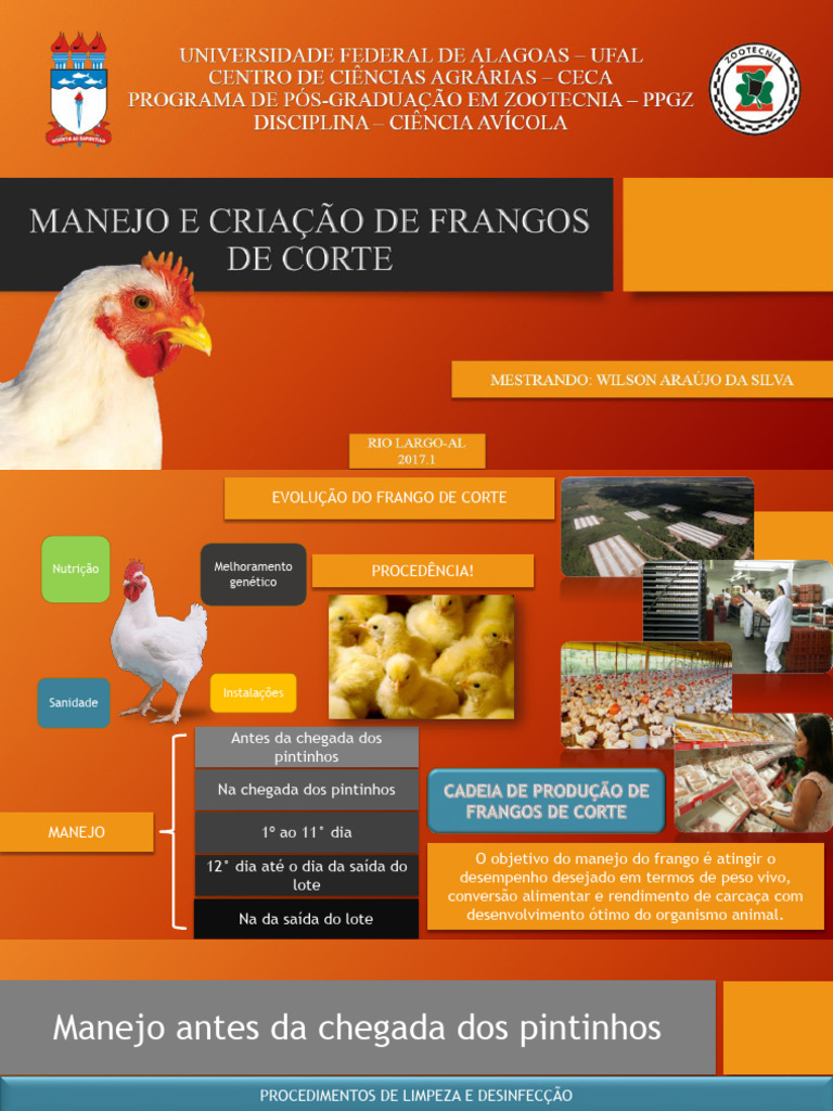 Manejo de Frangos de Corte | PDF | Desinfetante | Aves