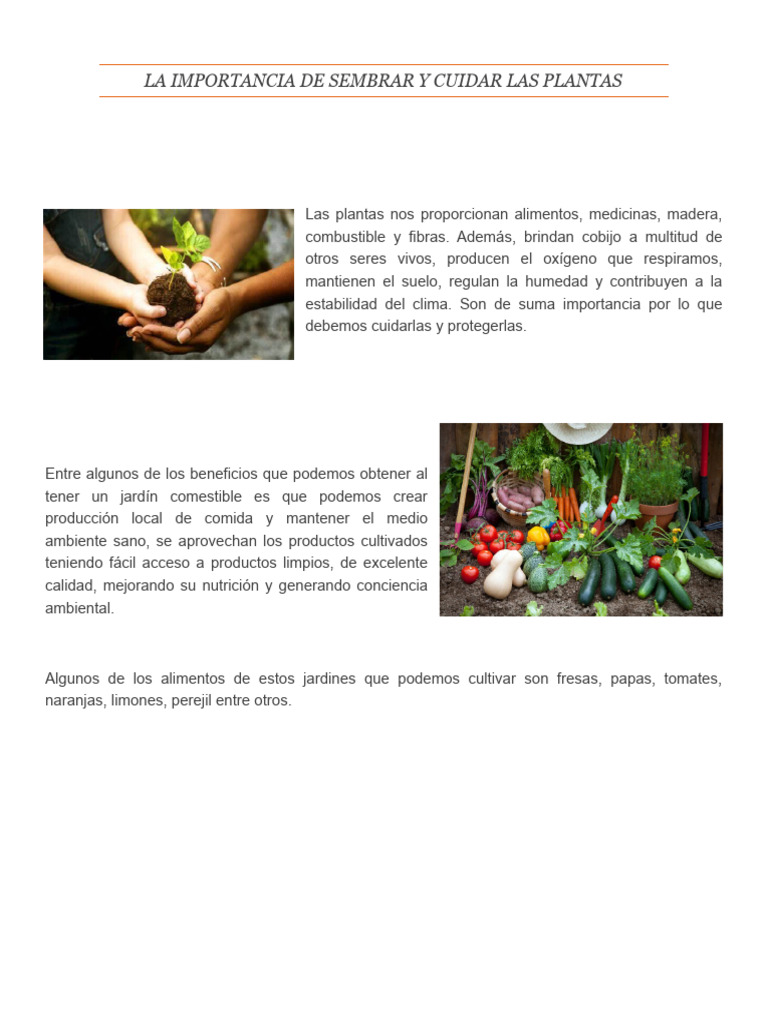 LA IMPORTANCIA DE SEMBRAR Y CUIDAR LAS PLANTAS | PDF