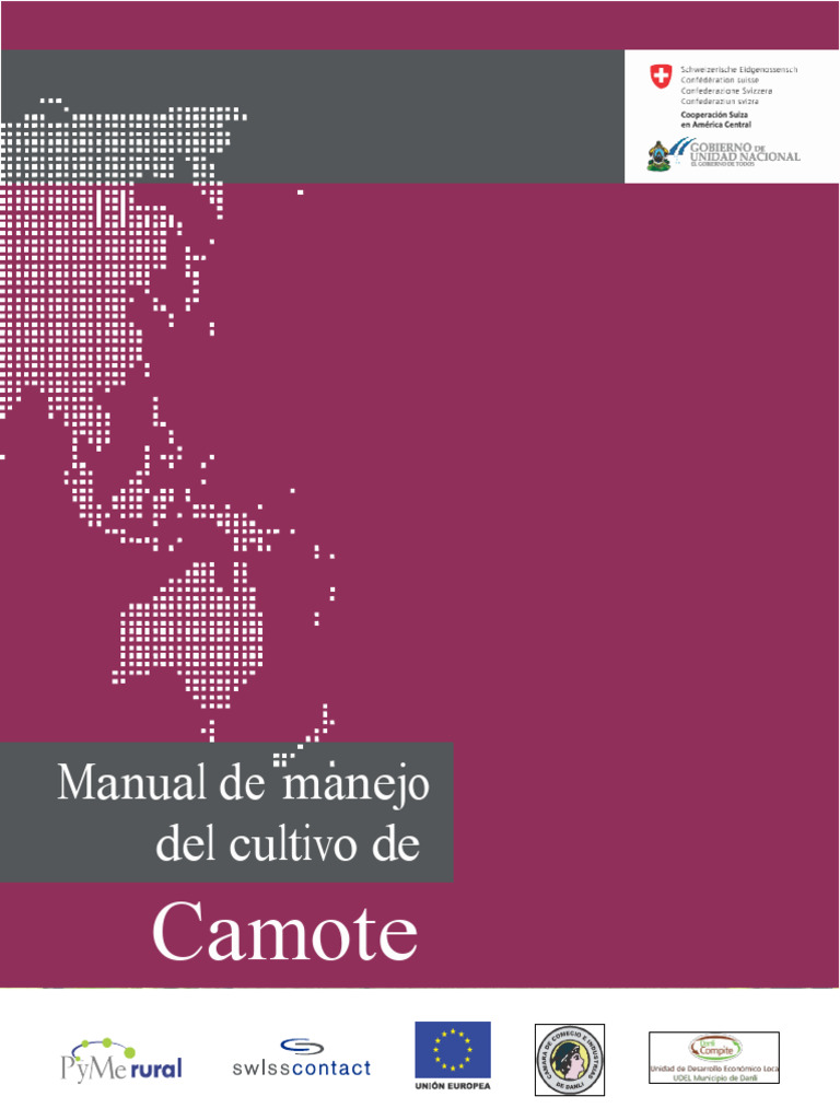 Manual de Cultivo de Camote para Exportacion | PDF | Agricultura | Suelo