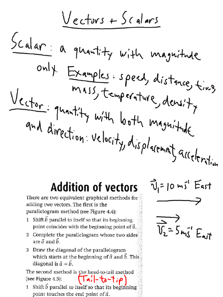 Vectors | PDF