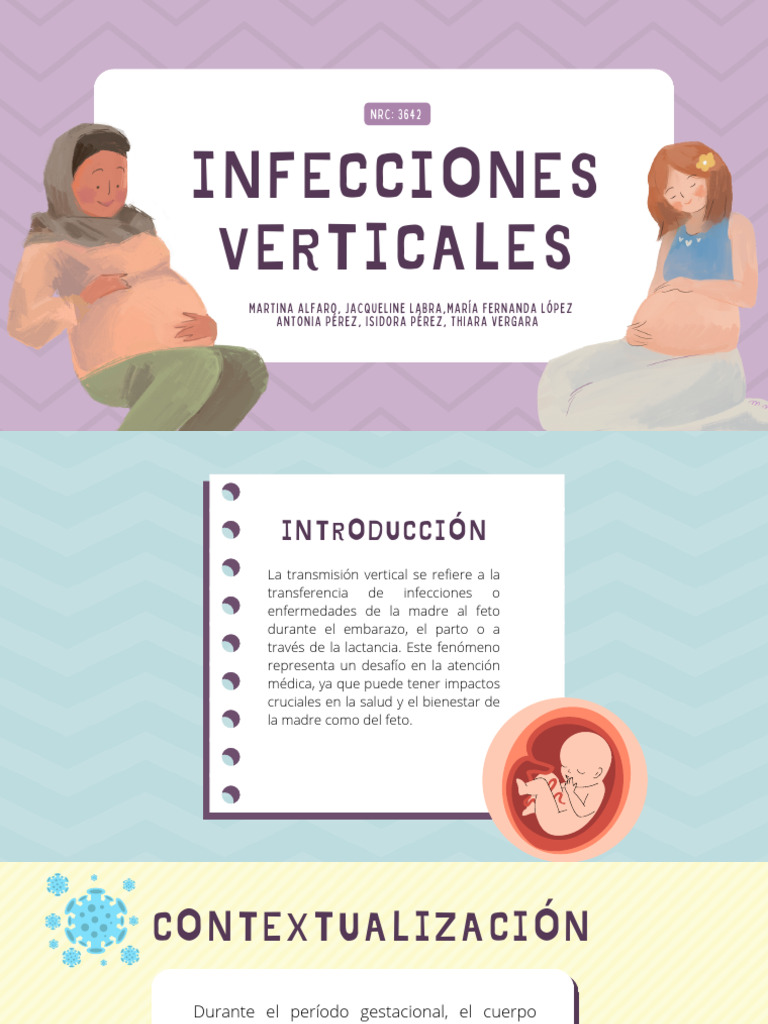 Prevención de VIH por Transmisión Vertical | PDF | VIH | VIH / SIDA