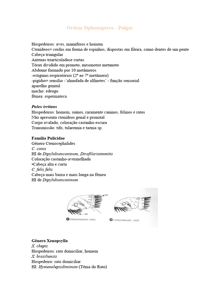 Características das Pulgas e Hospedeiros | PDF