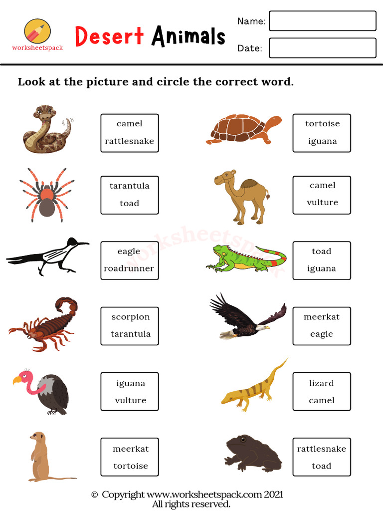 Desert-animals-worksheets | PDF