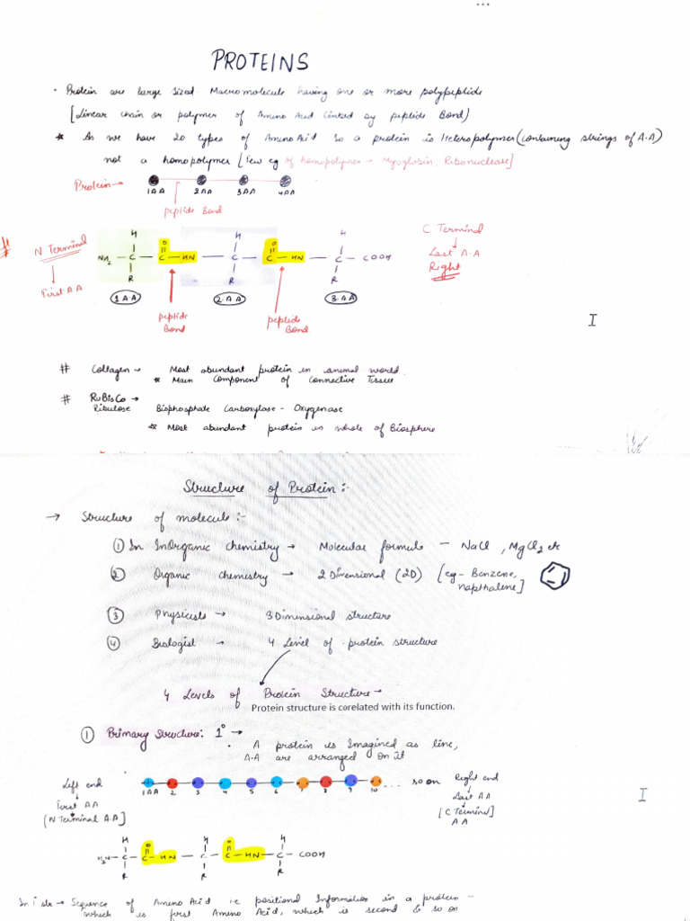 Protein | PDF | Proteins | Chemical Compounds