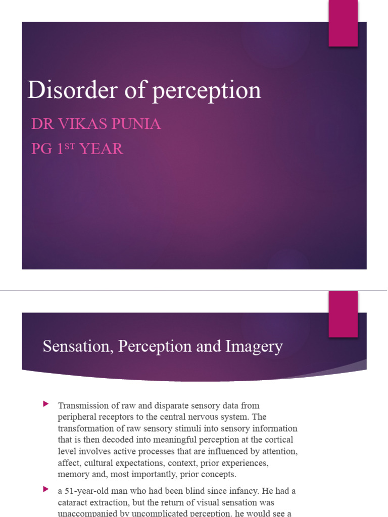 Presentation Perception | PDF | Perception | Hallucination