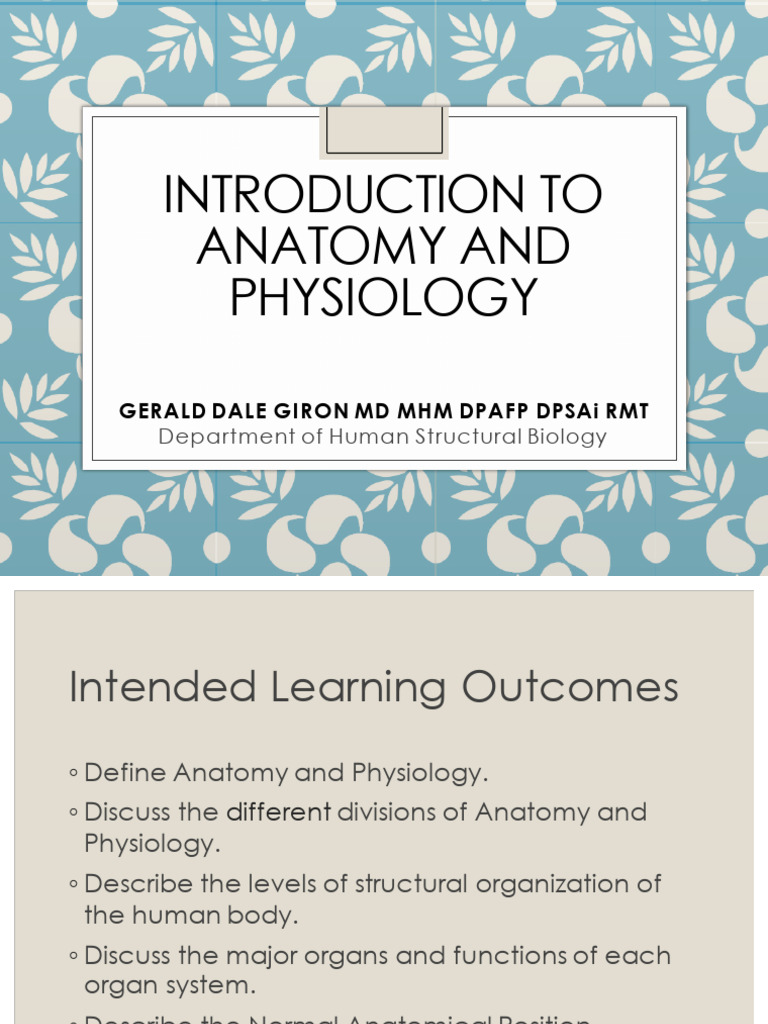 Anatomy & Physiology Basics | PDF | Anatomical Terms Of Motion | Anatomy