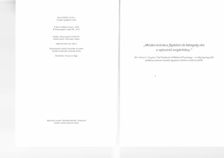 4 - PDFA Legzes Gyogyito Ereje | PDF