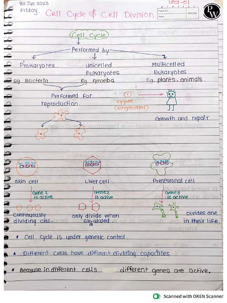 65142b5aec0df100185a3da2 - ## - Cell Cycle and Cell Division ...