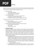 Instrumentos y Musica Xinca | PDF | Instrumentos musicales | Flauta