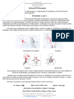 Exercícios de Codman para Reabilitação do Ombro | PDF | Dor | Medicina ...