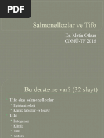 Tatarcik | PDF