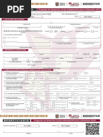 Llenado Op5 Op7 | PDF | Pasaporte | México