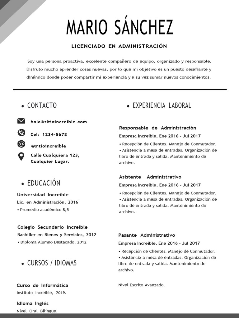 Curriculum Profesional Minimalista Sin Foto Blanco y Negro | PDF ...